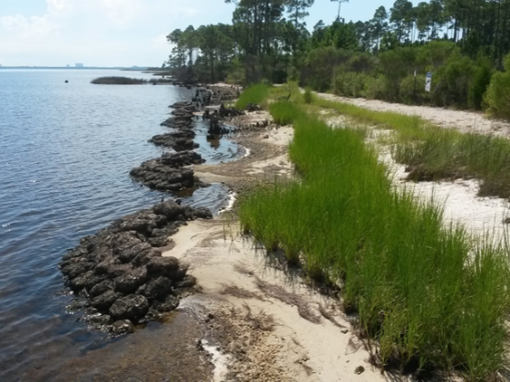 INFOS Sustainable Coastal Protection