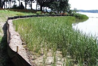 INFOS Sustainable Coastal Protection